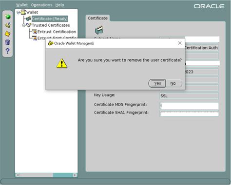 Renewal Of Expired Ca Signed Certificates In Oracle E Business Suite