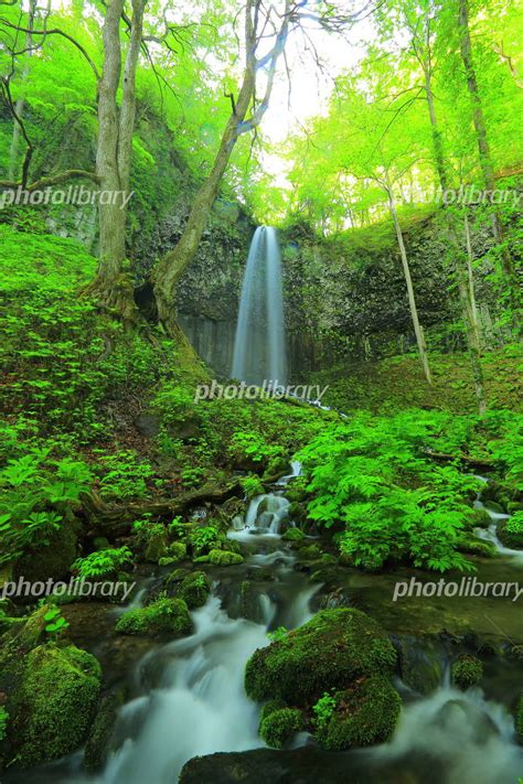 奥入瀬渓流 双竜の滝 写真素材 1024828 フォトライブラリー Photolibrary