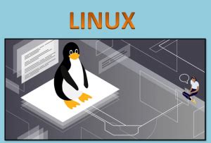 Learn Linux Step By Step Quickly Creative Geeks
