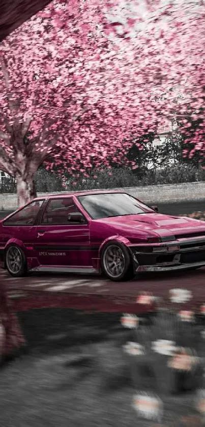 Cherry Blossom Car Wallpaper - free download