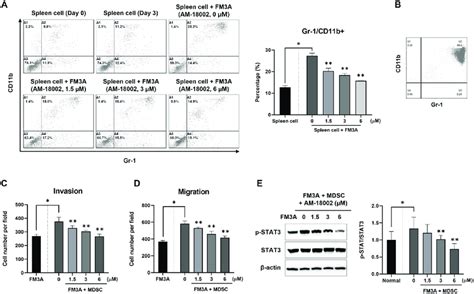 Mouse Fm3a Breast Cancer Cells Induce Mdsc Expansion And Am 18002