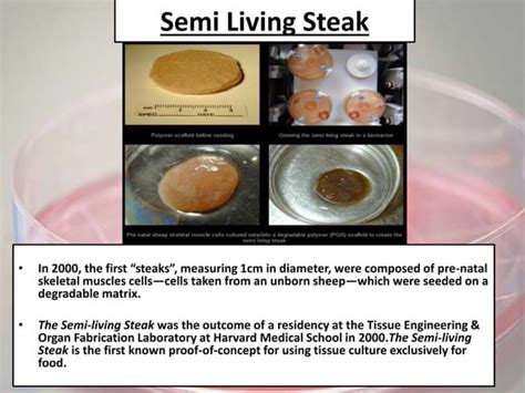 Organ And Tissue Engineering Examples Ppt