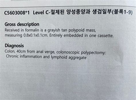 대장 내시경 조직검사 보고서 지식in
