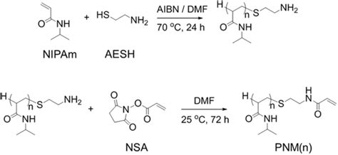 Synthesis Of Pnipam Macromonomer Through Free Radical Polymerization Download Scientific Diagram