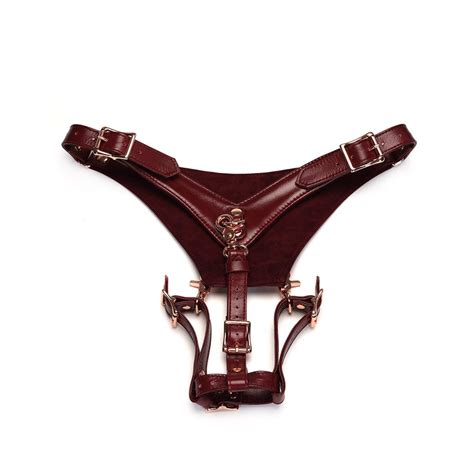 Luxury Bdsm Strap On Intense Pleasure Gear Liebe Seele