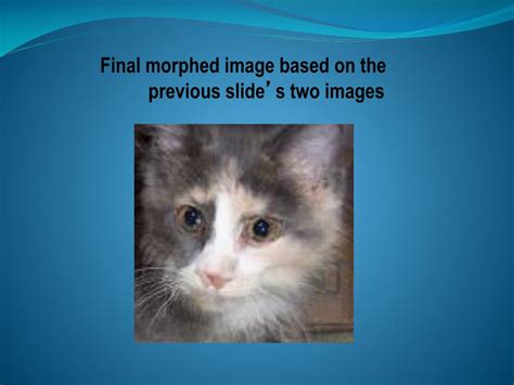 ppt fpga based hardware emulation of image morphing final