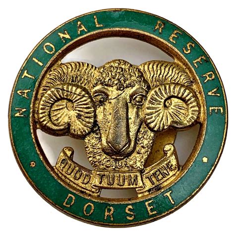 Ww1 National Reserve County Of Dorset Enamel Lapel Badge British