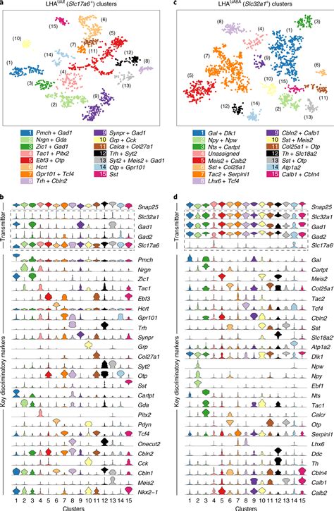 单细胞转录组文献分析方法[二] Single Cell Transcriptomic Analysis Of The Lateral Hypothalamic Area Reveals