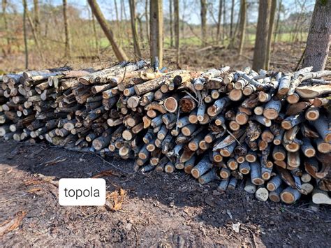 Drewno kominkowe Topola Rawicz Ogłoszenie na Allegro Lokalnie