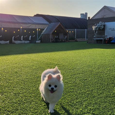 오사카 여행 가이드 오사카성 도톤보리 유니버셜스튜디오