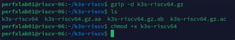Risc V公测平台发布 · 如何在sg2042上玩转k3ssg2002 Riscv Csdn博客