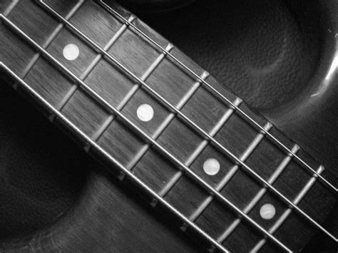 Electric Bass 5 Free Photo Download Freeimages