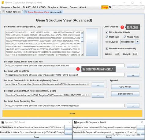 TBtools 多图合一至强版教程进化树 Motifs 结构域 启动子 基因结构 知乎
