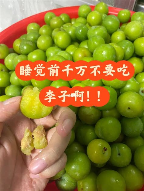 吃个李子睡觉了表情包 图库 五毛网