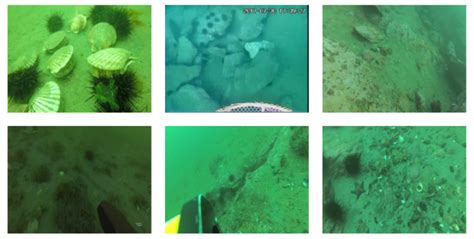 Angle Cost Calculation Scheme Download Scientific Diagram