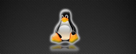 Linux如何修改文件名 Linux修改文件名命令详解 不念博客