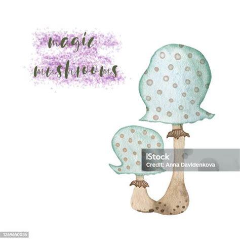 두 개의 푸른 버섯의 수채화 그림 수채화와 함께 손으로 그려져 있으며 모든 유형의 디자인 및 인쇄에 적합합니다 Boletus에 대한 스톡 벡터 아트 및 기타 이미지 Istock