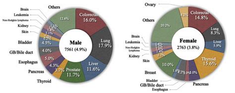 Frequency Of Secondary Primary Cancer According To Sex Download