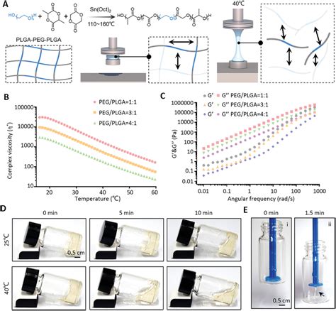 Characteristics Of The Heat‐sensitive Adhesive Polymer A Schematic
