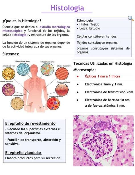 Histología Christopher Udocz
