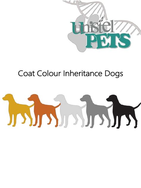 Coat Colour Genetics Pdf Dominance Genetics Allele