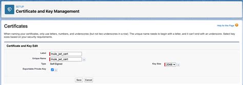 How To Setup Oauth Jwt In The Salesforce Connector