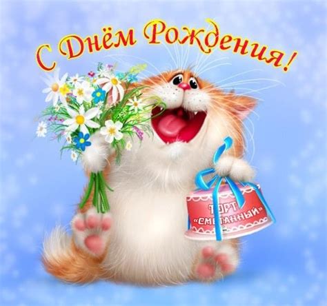 Tylor : с днем рождения любви до головокружения