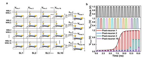 中科院微电子所 复旦大学 九峰山实验室nature Communications，面向神经形态计算的全自旋突触和神经元器件