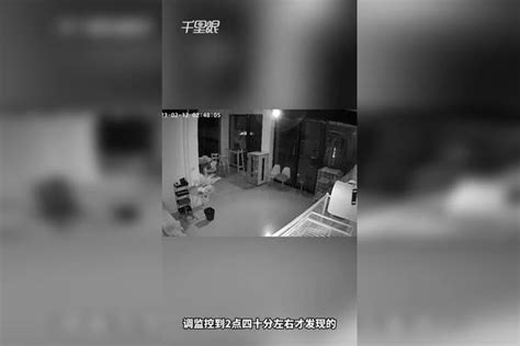 【河南】一男子在猫咖店前撒白色粉末疑似投毒 店主：已报警，测试活老鼠3小时后死亡