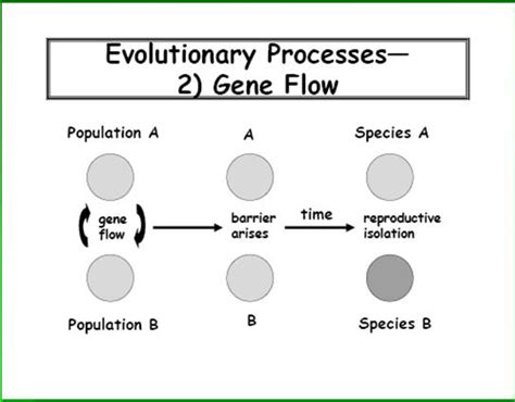 Genetic Diversity 5 6 Evolusi Dan Spesiasi Pembantu Rektor I Uns