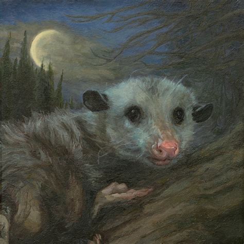 Opossum Louie Etsy