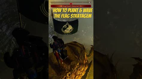 Hidden Features of the One True Flag Stratagem, How to Wave & Plant ...