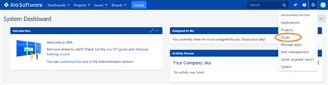 Adding Custom Issues And Fields In Jira Chapter 5 Rendezvous