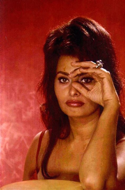 Picture Of Sophia Loren