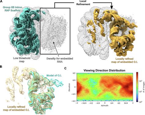 Scaffold Enabled High Resolution Cryo Em Structure Determination Of Rna Nature Communications