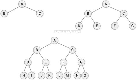perfect binary tree