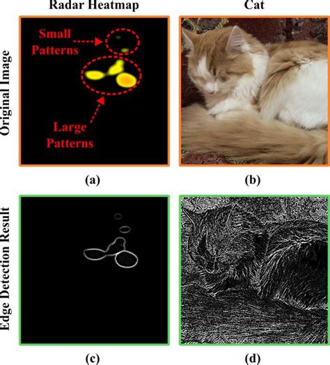 Comparison Between Radar Heatmap And A Cat Image A Radar Heatmap Is