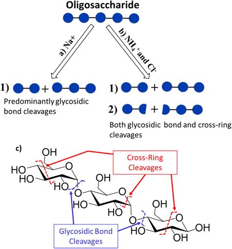 Oligosaccharide Structure Structures And Nomenclatures Of The