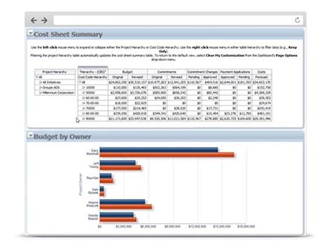 Primavera P6 Analytics App Consultoría