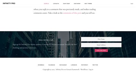 2 Column Footer Widgets In Infinity Pro Sridhar Katakam