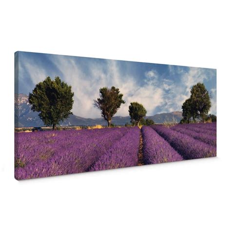 Lavender Field Panorama Canvas Print Wall