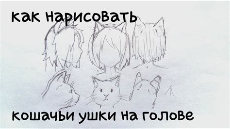 Як намалювати вушка кота людині малюємо з різних ракурсів простим олівцем Ravlyk
