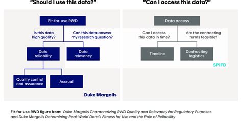 Rwe Decision Support Data Questions Rwd Real World Data Rwe Download Scientific Diagram