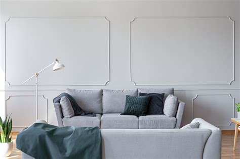 거실 인테리어에 회색 벽에 램프 옆 베개와 회색 소파의 실제 사진 빈 벽 그래픽 0명에 대한 스톡 사진 및 기타 이미지 0명 가정의 방 거실 Istock