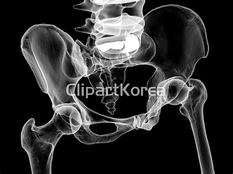 해외작가포토 클립아트코리아 통로이미지주