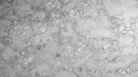 Premium Ai Image Speculative Chosen And Retro Organize Gray And White Stone Concrete Divider