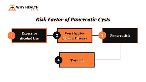 Pancreatic Cysts Symptoms Types And Its Risk Factors