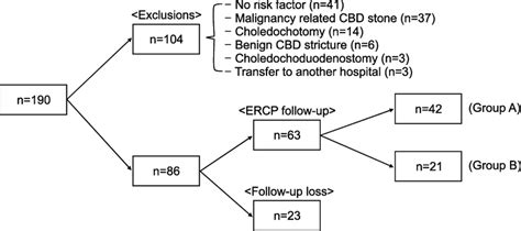 Flow Chart Summarizing The Study CBD Common Bile Duct ERCP