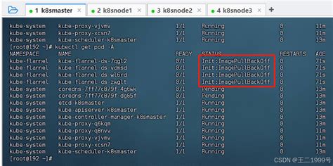 使用kubeadm在vmware虚拟机从0开始搭建k8s集群，踩完所有坑 flannel cni plugin v1 5 1 flannel1