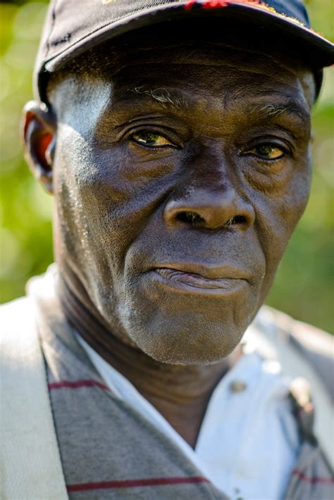 Photography Video And Audio Of Brett Simison The Apple Pickers